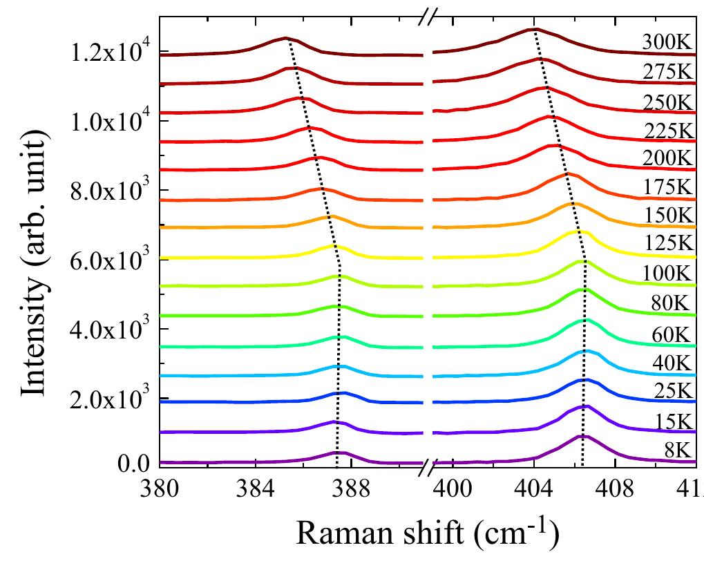 Raman spectra of hbn substrate sl mos, on sample2 measured