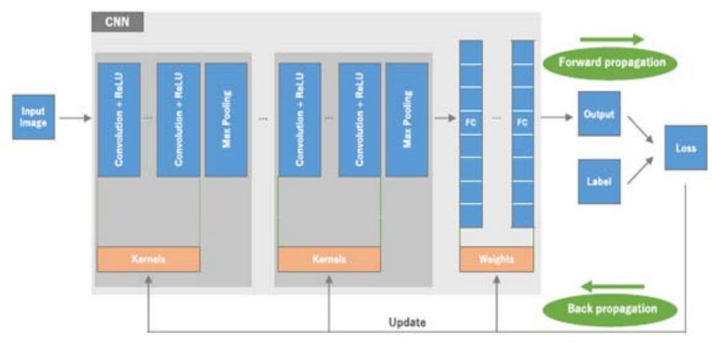 General structure of cnn and the training process [32].