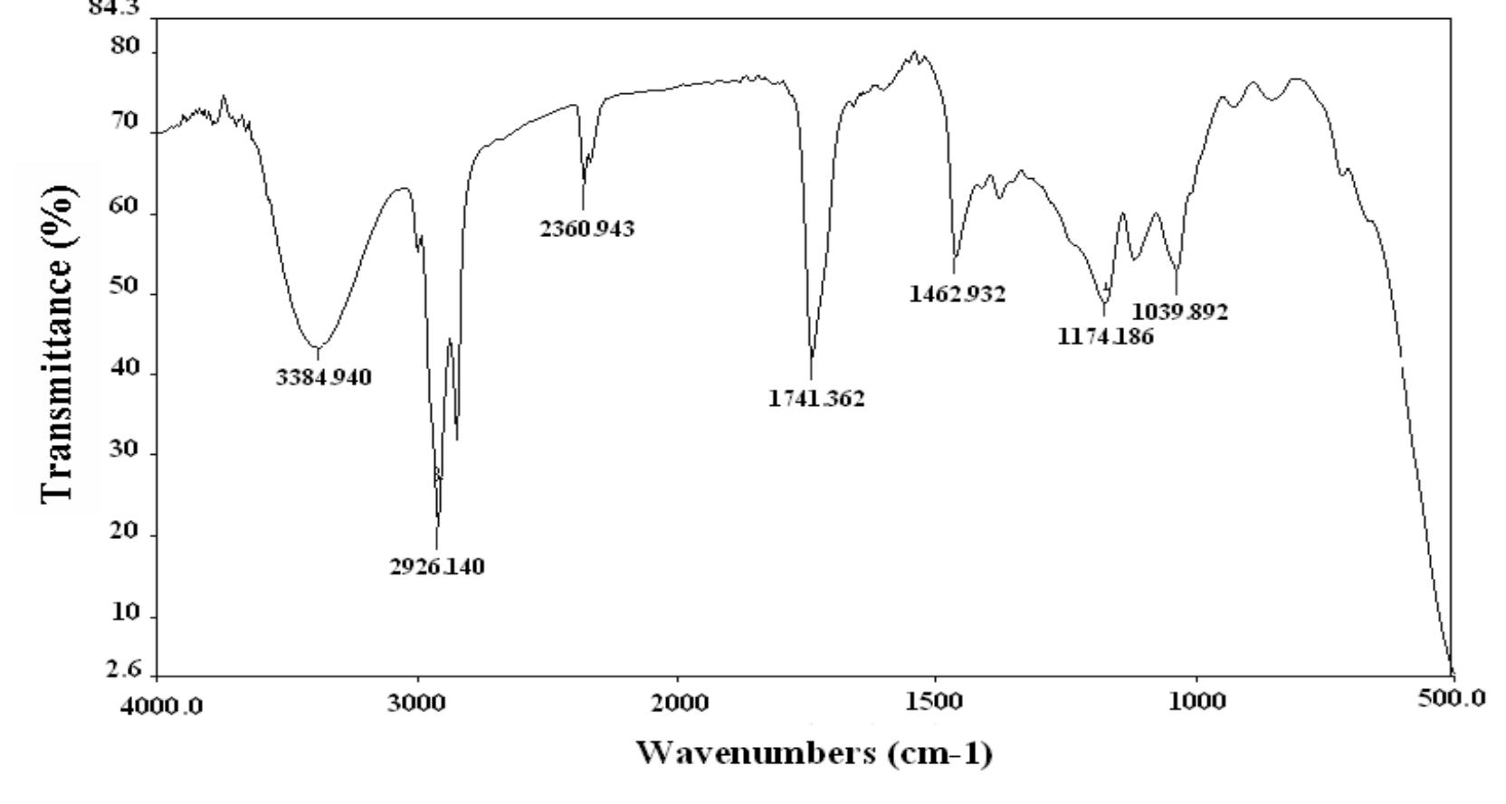 The ftir spectra of the synthesized polyol based on palm