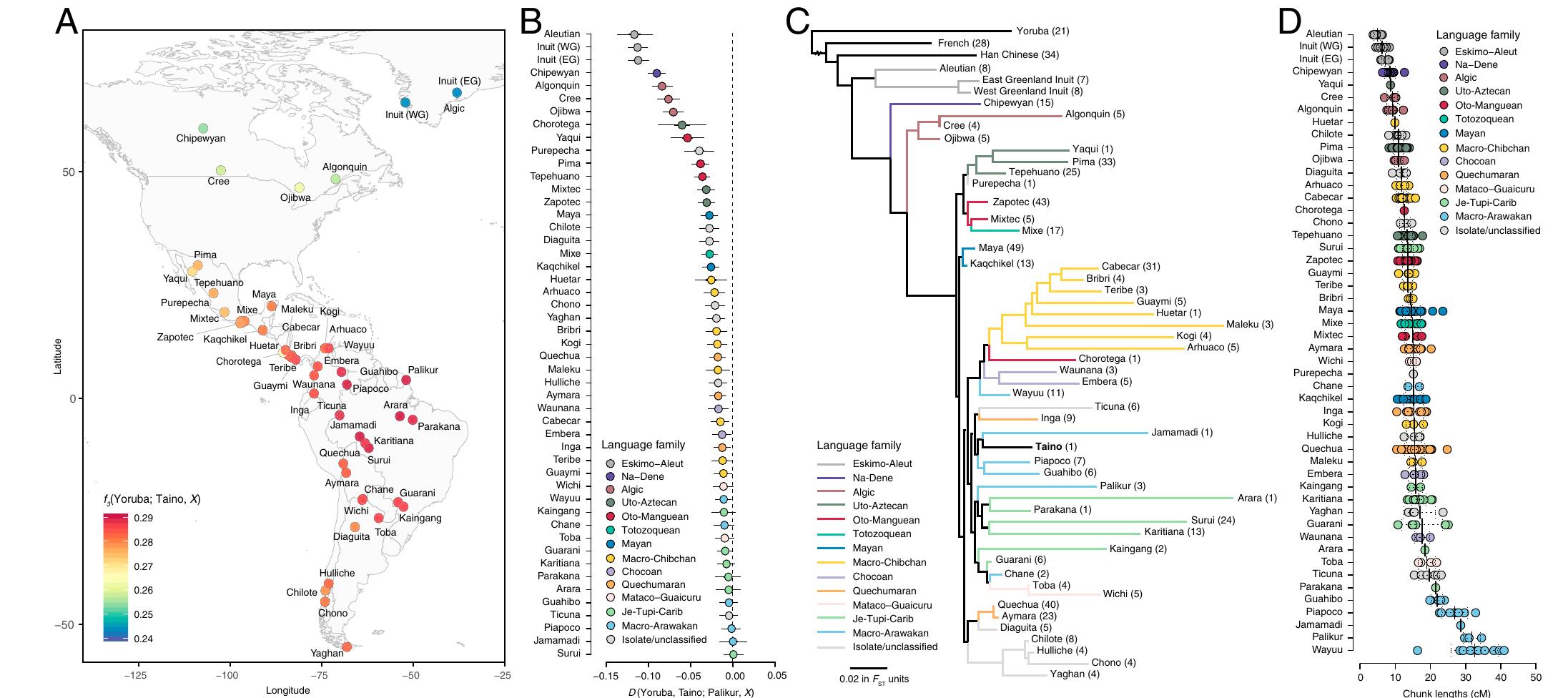 The genetic origins of the taino. the individual from