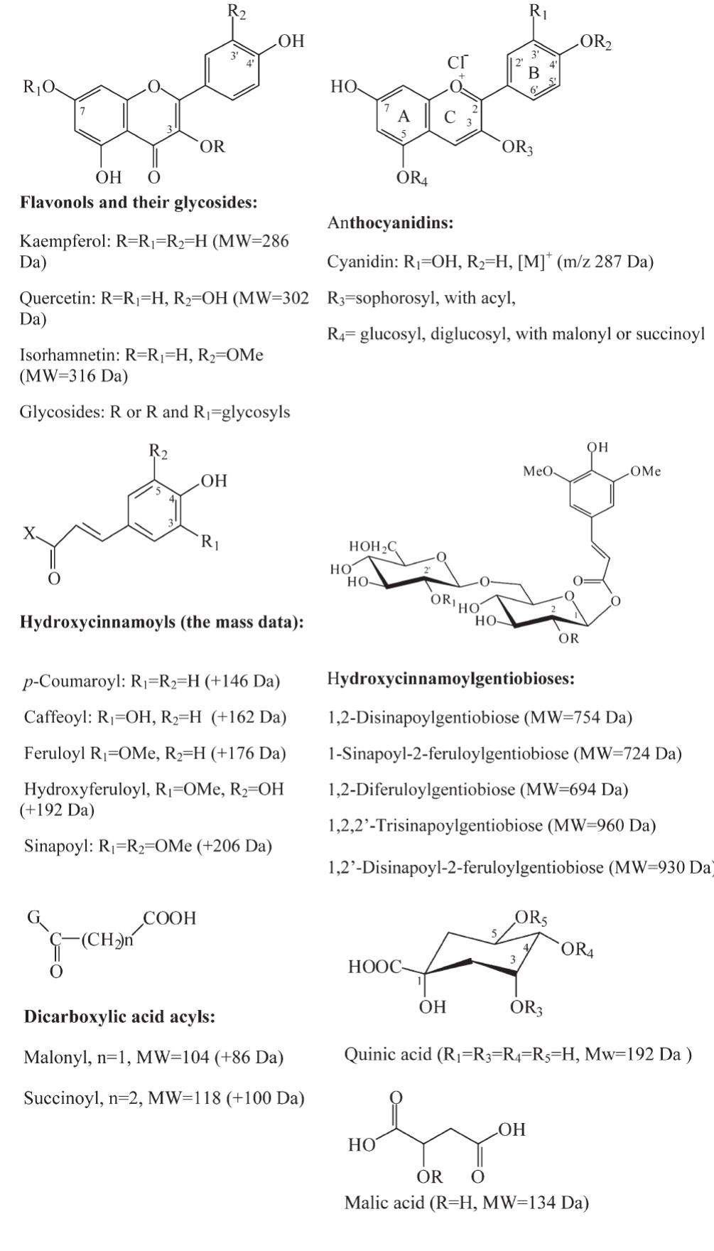 Figure 1 - UHPLC-PDA-ESI/HRMS/MS n Analysis of Anthocyanins,