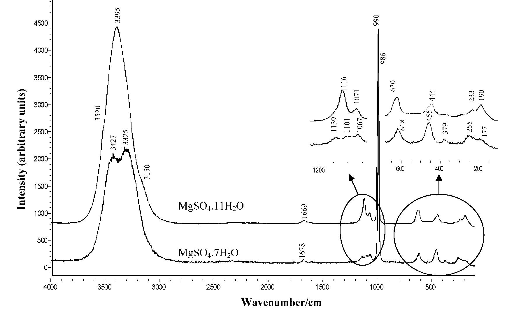 Raman spectra of mgsoq4*11h2o and mgso4:7h20 crystals
