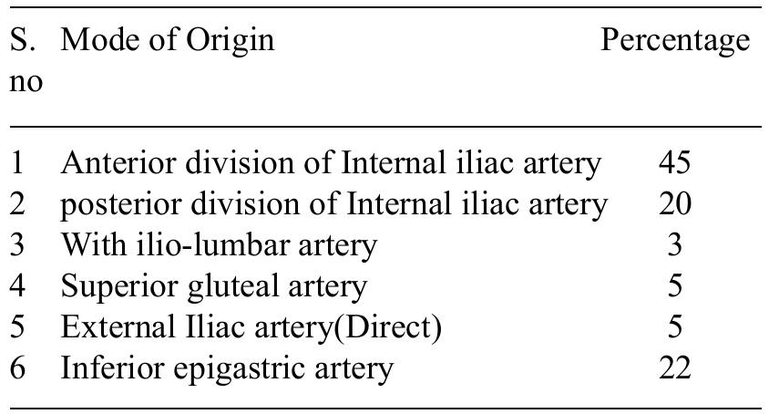 Branching pattern of obturator artery in present study with