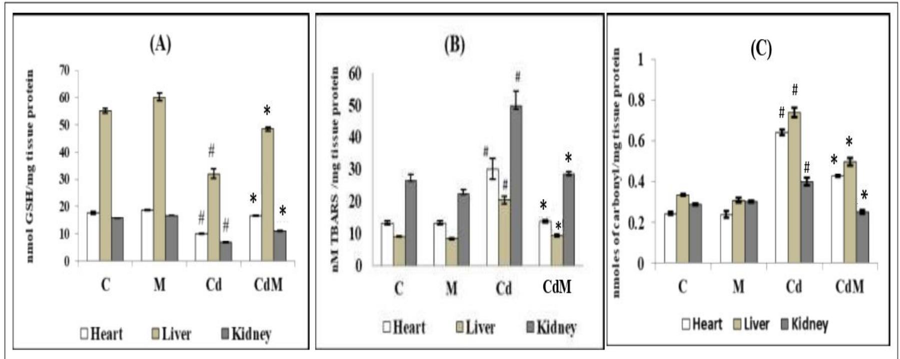 The levels of lpo and pco in the cardiac, hepatic and renal
