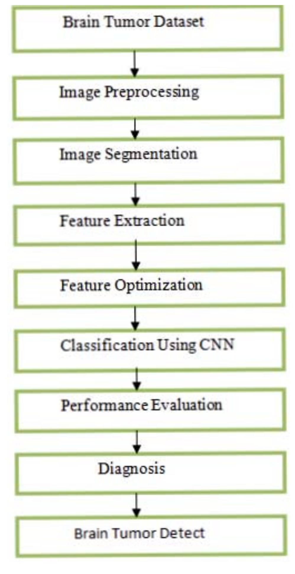 Overall Flow Of The Brain Tumor Detction System