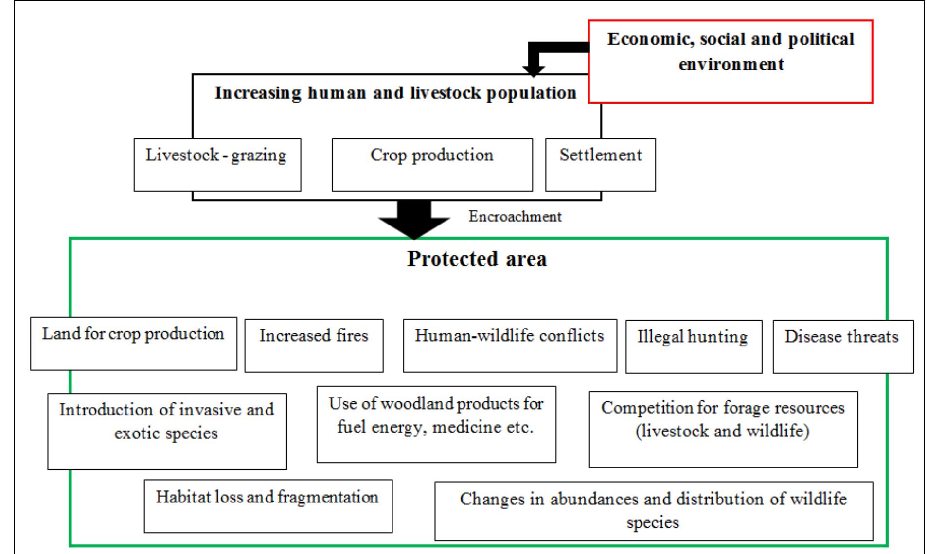 A Conceptual Framework Outlining The Major Factors Driving