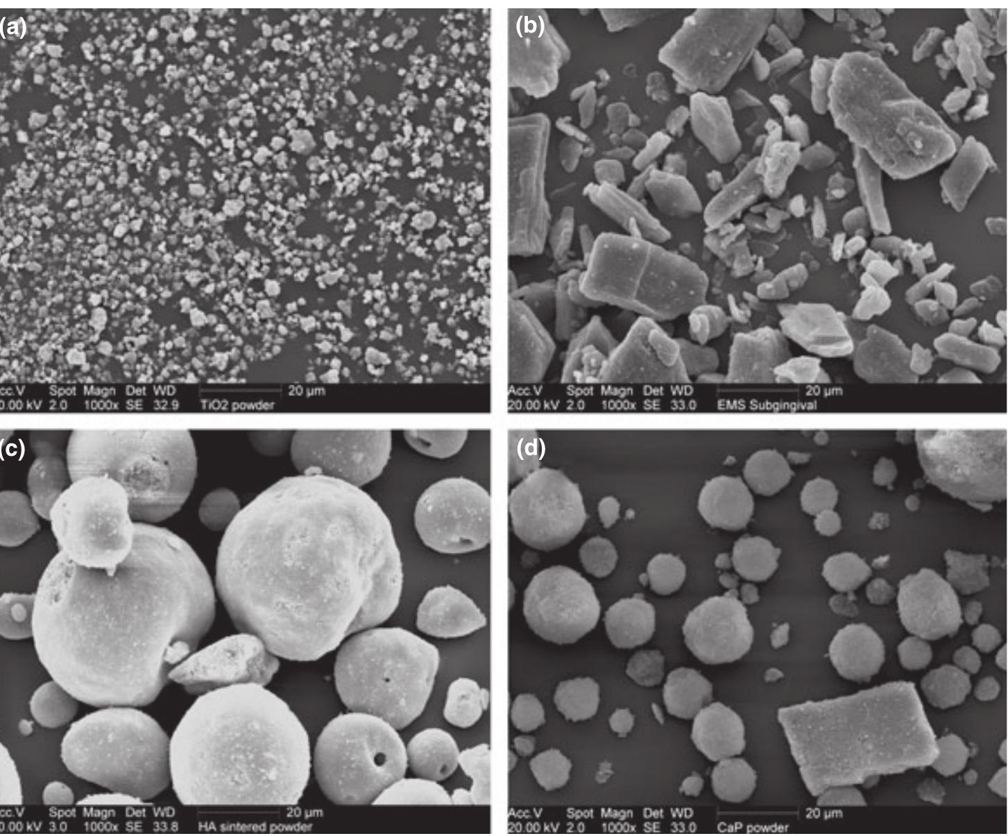 Scanning electron microscope photos of powder particles (a)