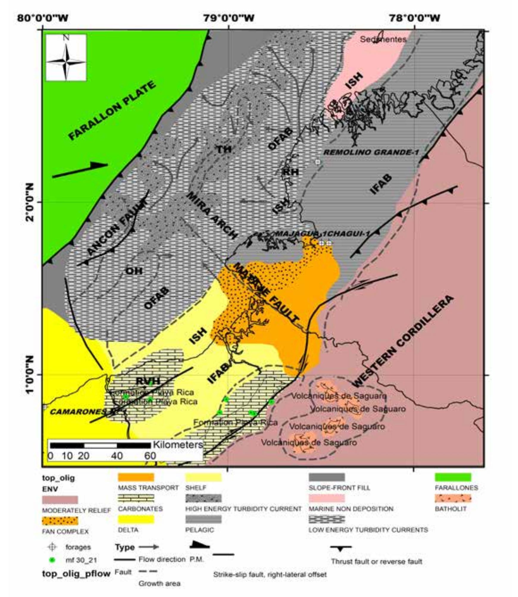 Sedimentary facies and tectonic setting map of the nesc