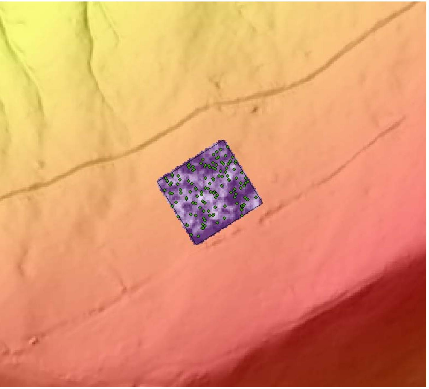 Figure 4 - Two Remote Sensing Examples from the Forest