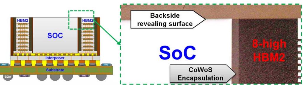 Figure 15 Wafer Level Integration Of An Advanced