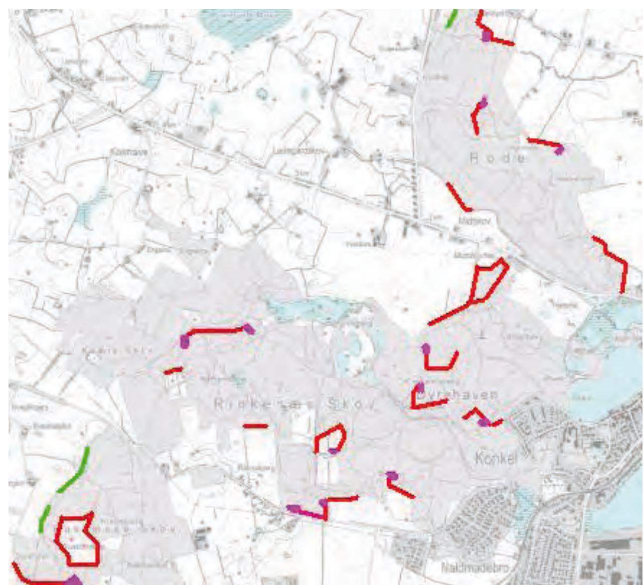 Map of the forests of graasten comments: new established