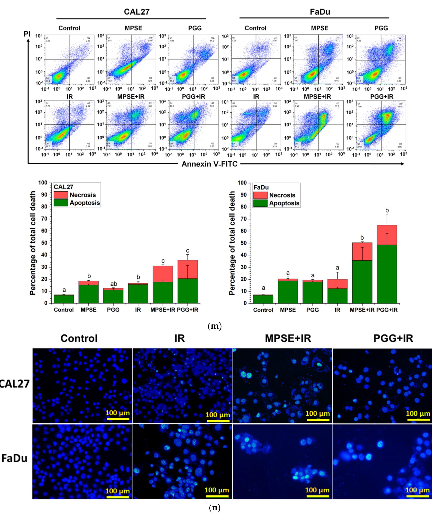 Mpse or pgg enhanced ir-induced dna damage and cell death in