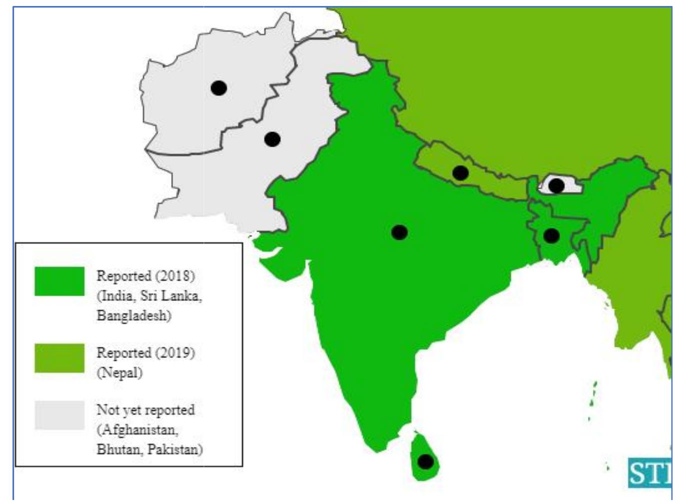 The larvae feed on the shells as they hatch from the eggs.