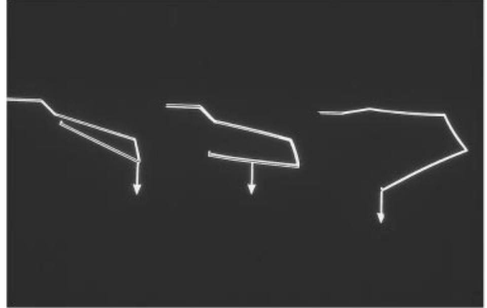 Figure 3 - The rectangular loop: Biomechanical principles