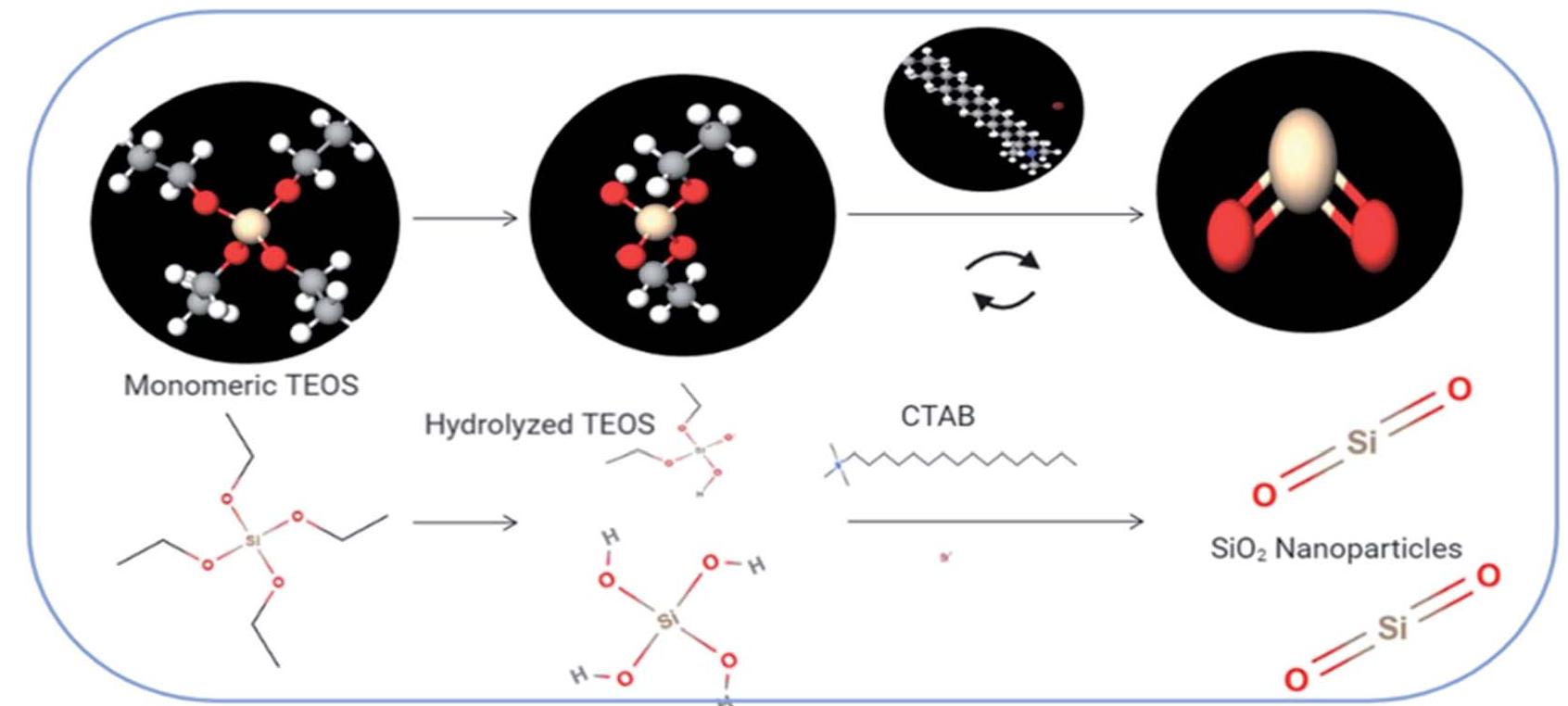 A schematic diagram representing the sol—gel synthesis of