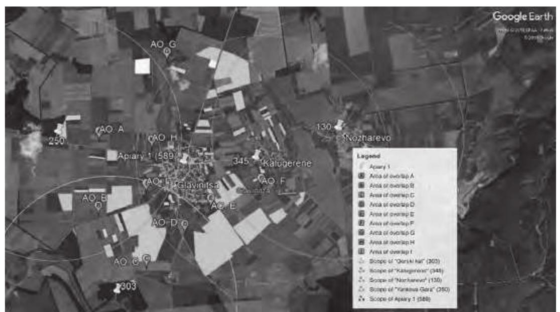The circles of the five apiaries and the quadrants of their
