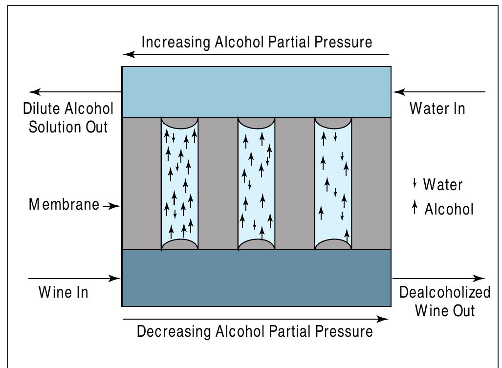 Figure 9 - Membrane distillation