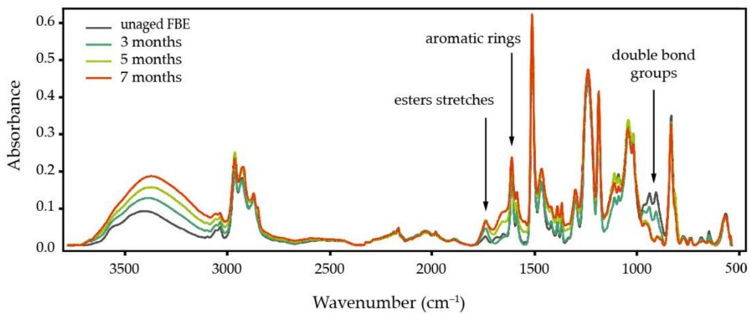 Degradation of fbe molecular structure caused by water
