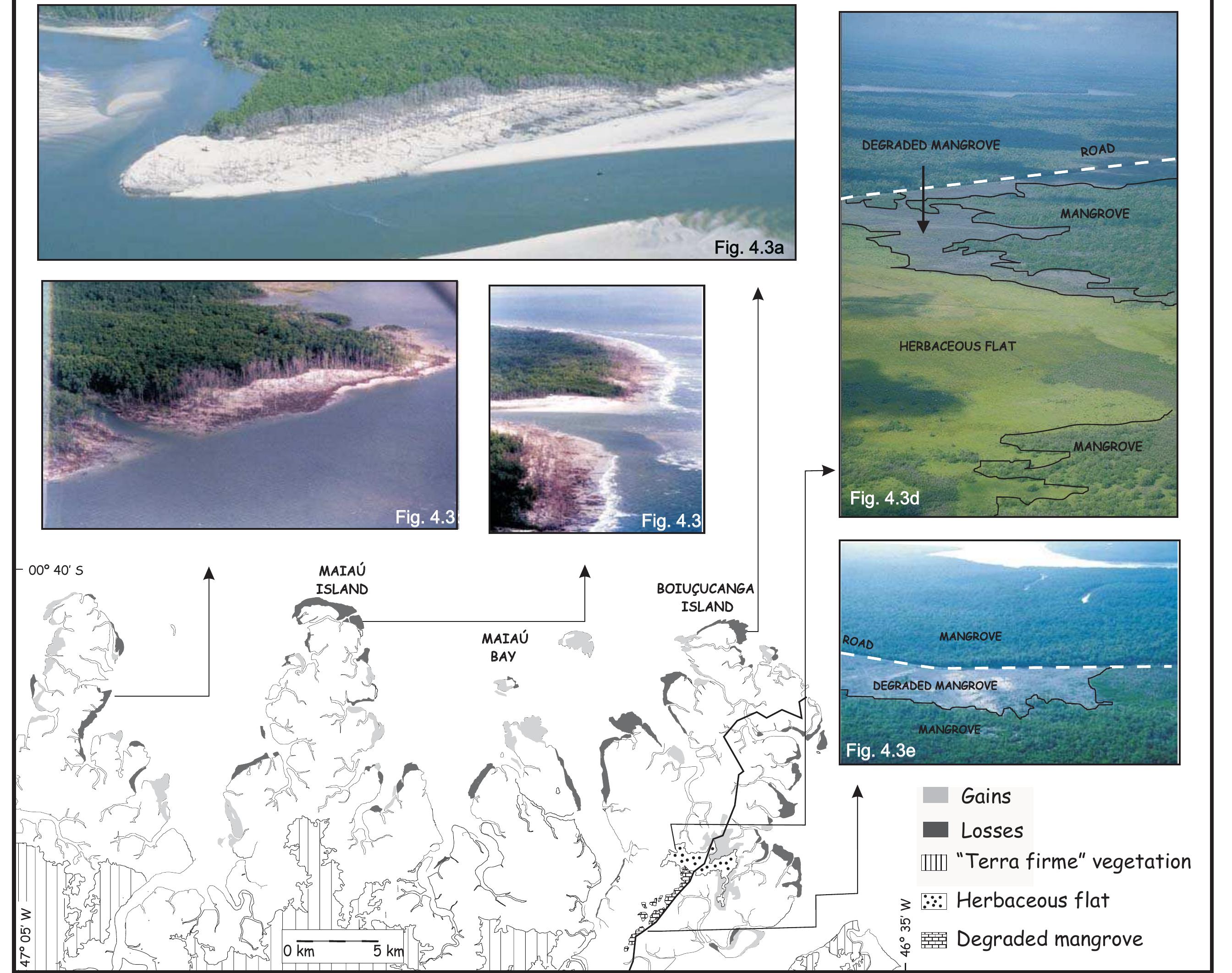 3 evolution of coastal vegetation according to the analysis