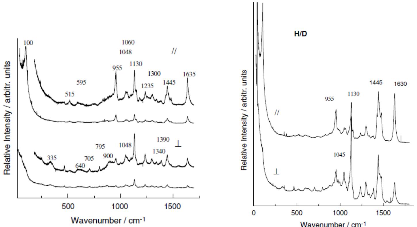 Raman spectra of non-deuterated (left) and deuterated