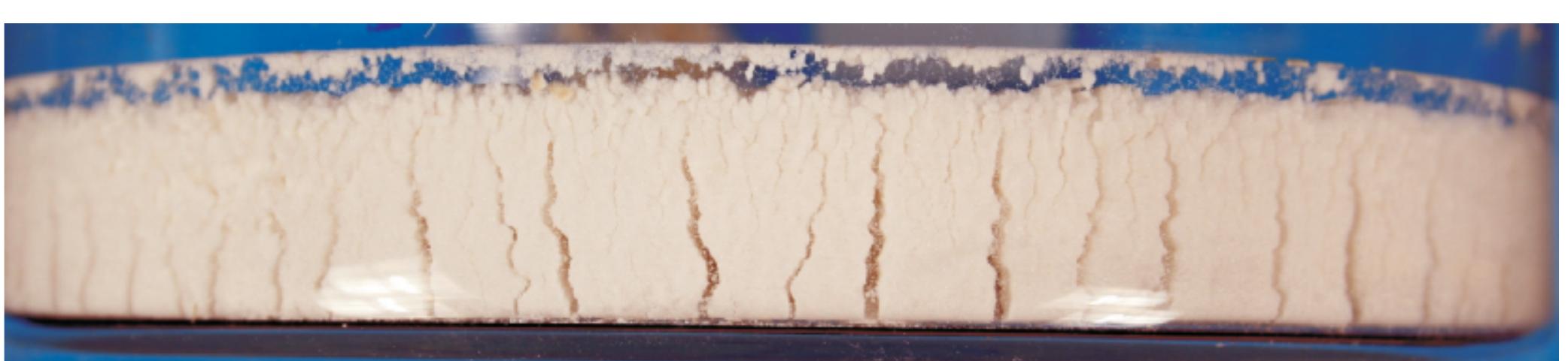 Vertical cracks visible from side of container of 20 mm