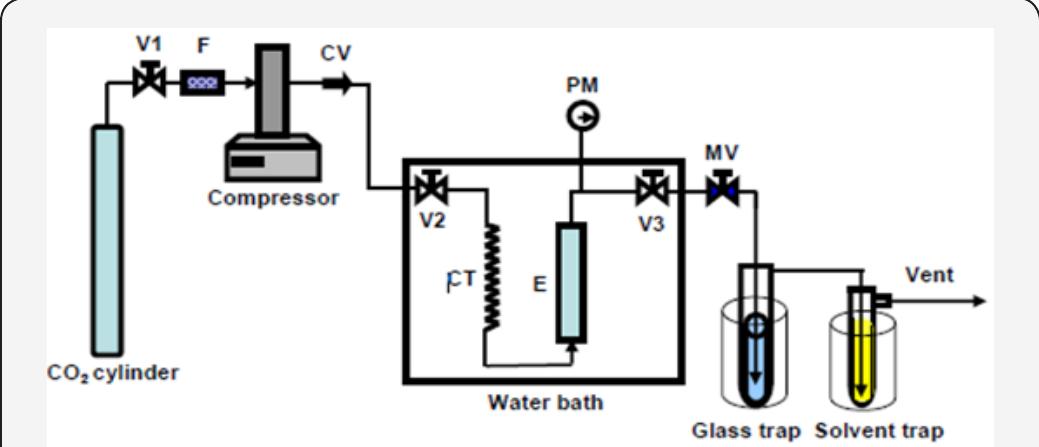 Schematic diagram of scf extraction. v1, v2, v3: stopping