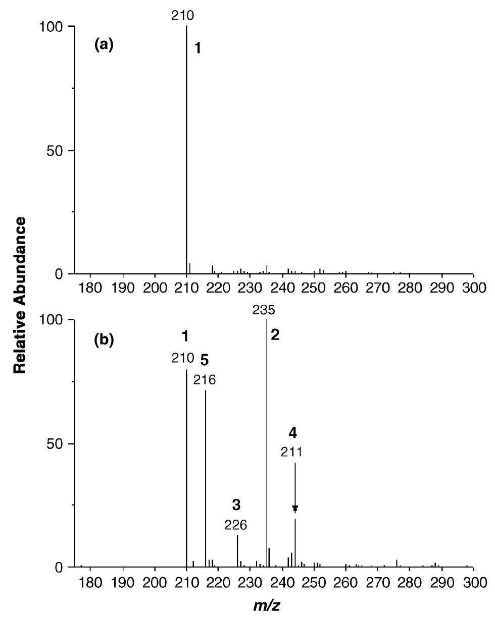 Real-time monitoring of the reaction between indigo carmine