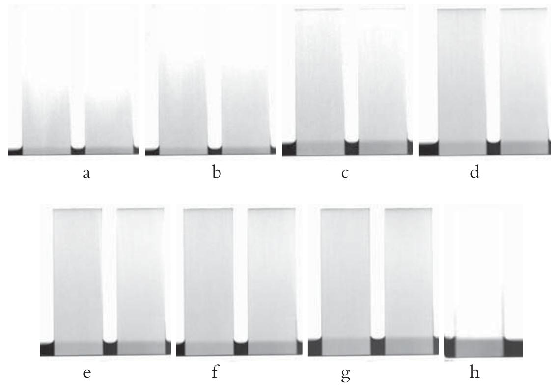 Flow visualisation of 15% xylene solution of paraloid b72