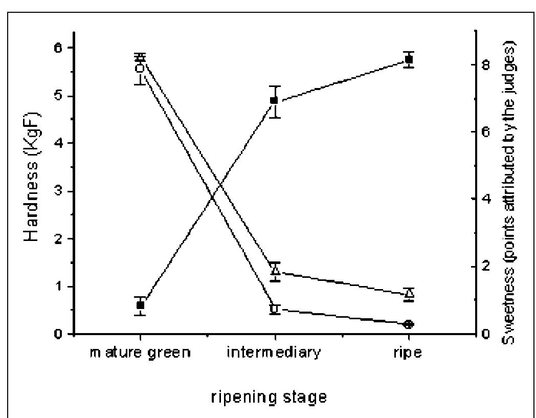 —texture and sweetness of 3 ripening stages of papaya fruit.