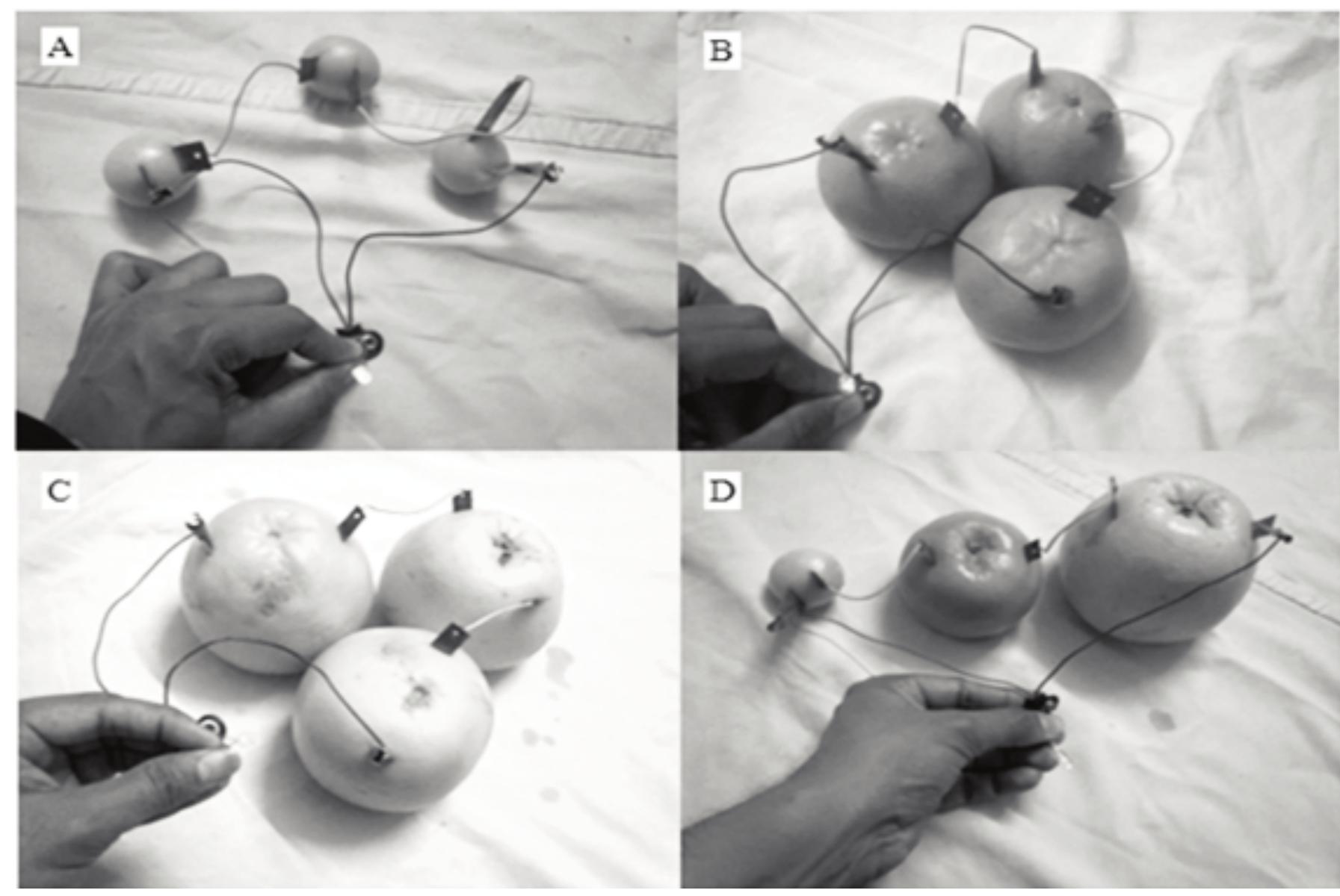 Bioelectricity generation by galvanic cell