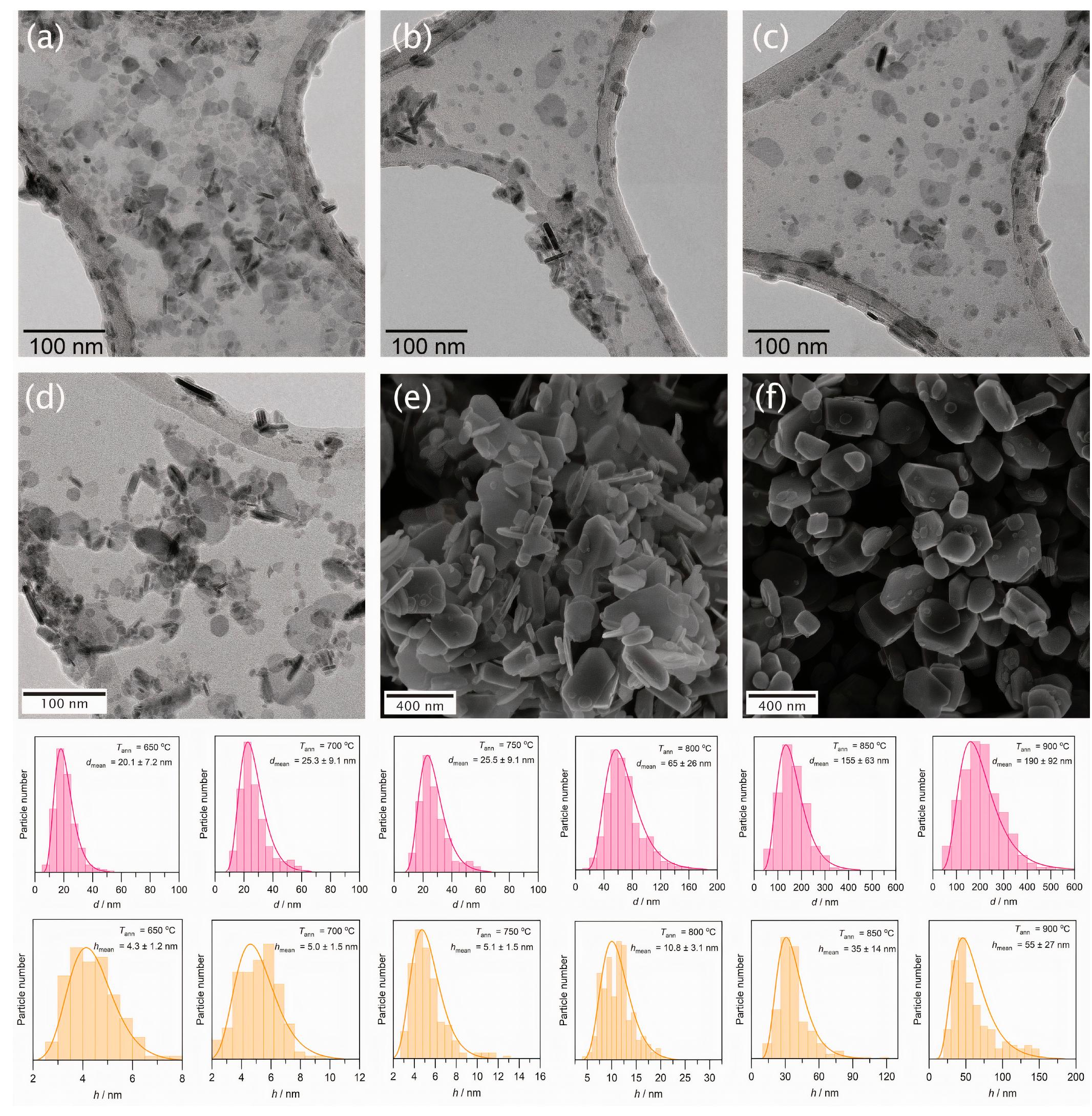 Electron microscopy images of the extracted hexaferrite