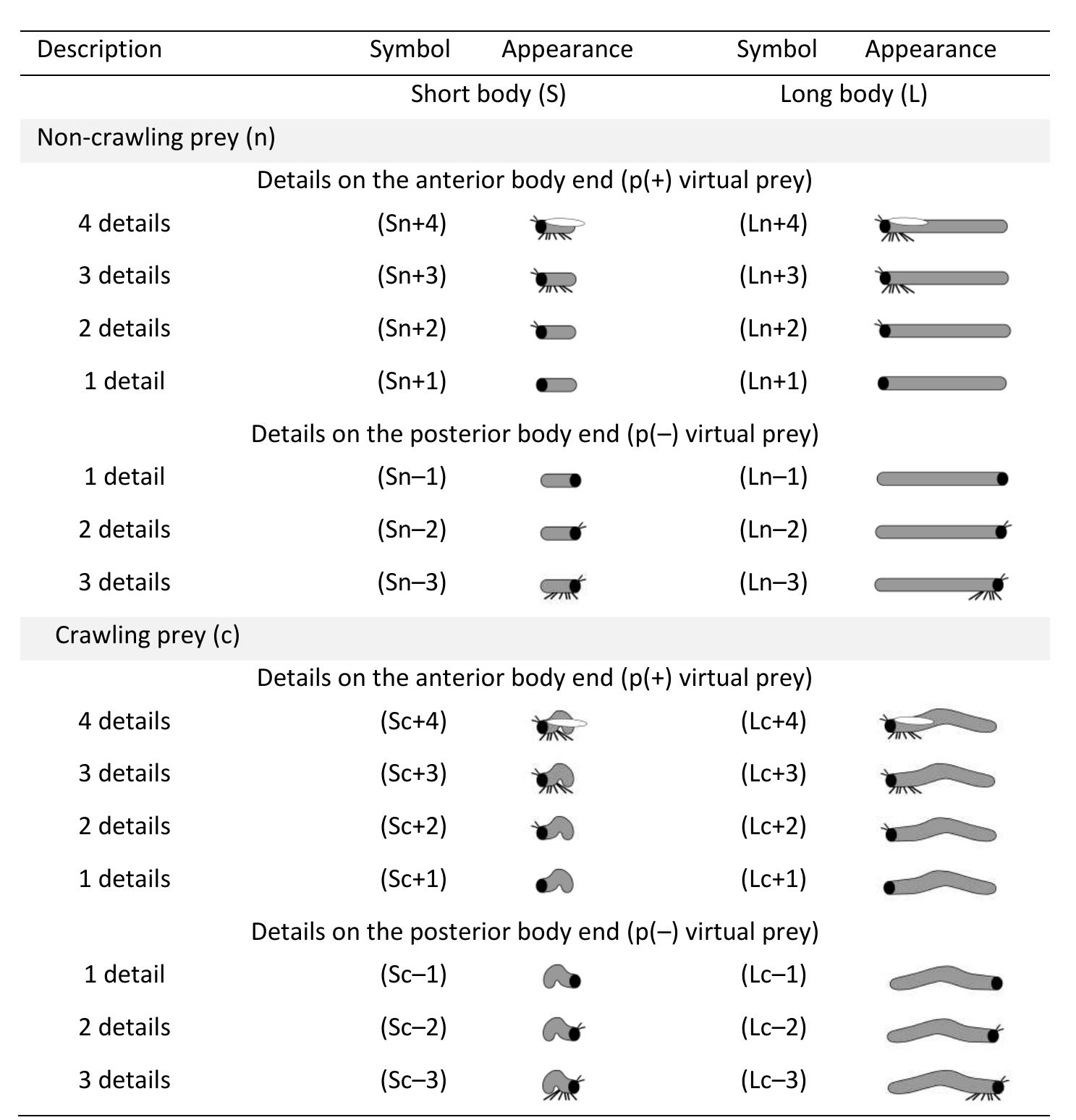 Virtual prey used in the tests. virtual prey movement