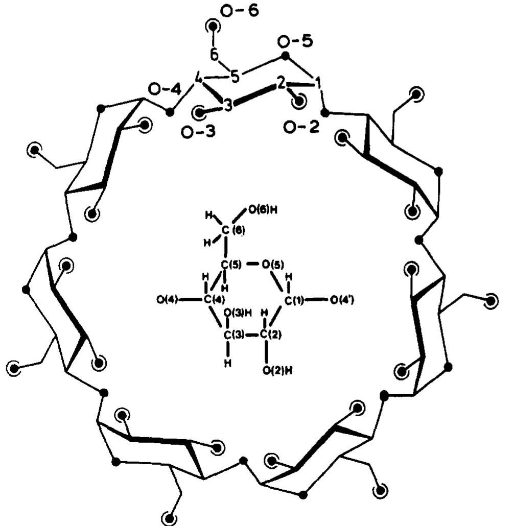Chemical structure of f-cyclodextrin (e oxygen atoms,