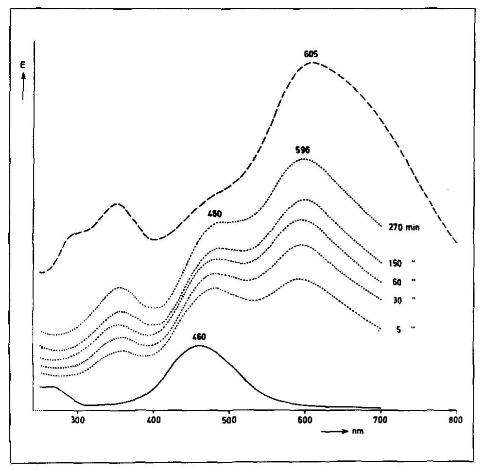 (PDF) The structure of the blue starch-iodine complex