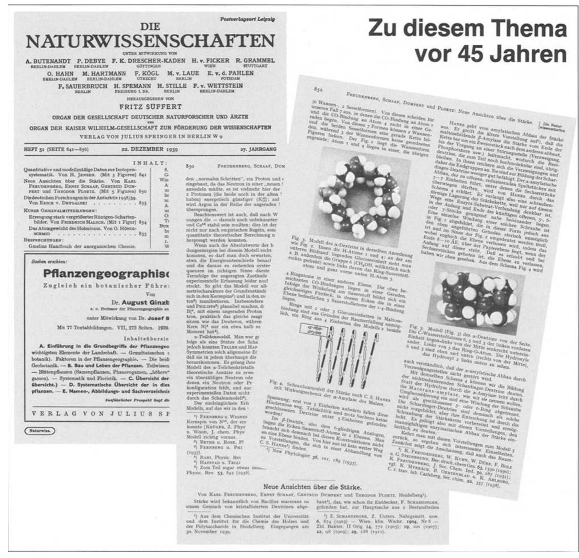 Figure 6 - The structure of the blue starch-iodine complex