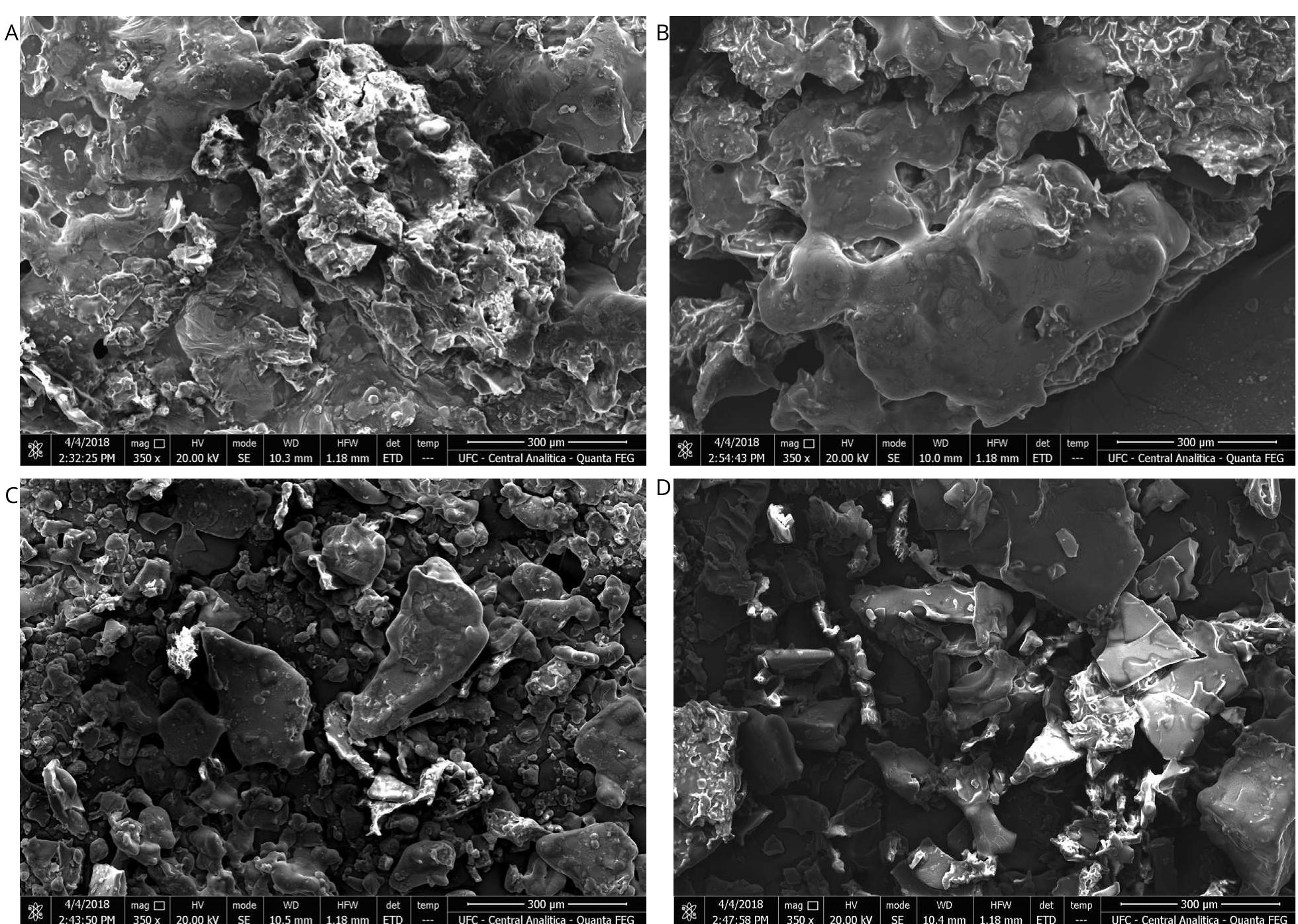Scanning electron microscopy micrographs (350x) of Scanning electron microscopy micrographs (350x) of