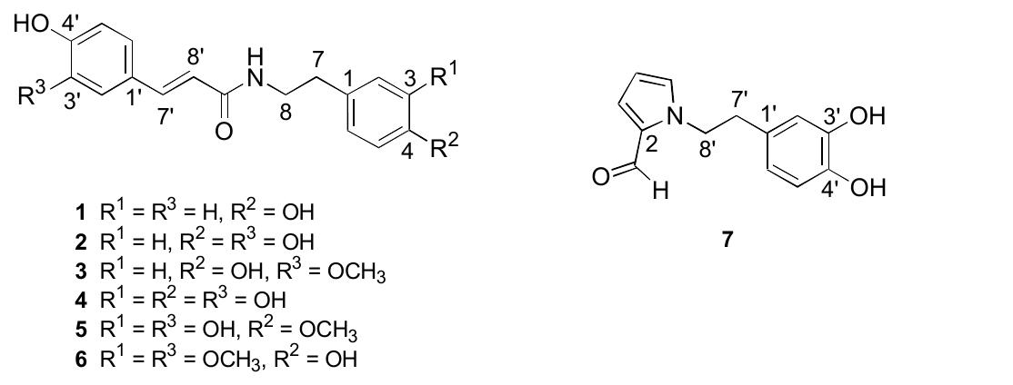 Structures of isolated compounds (1 — 12). compound 5 was