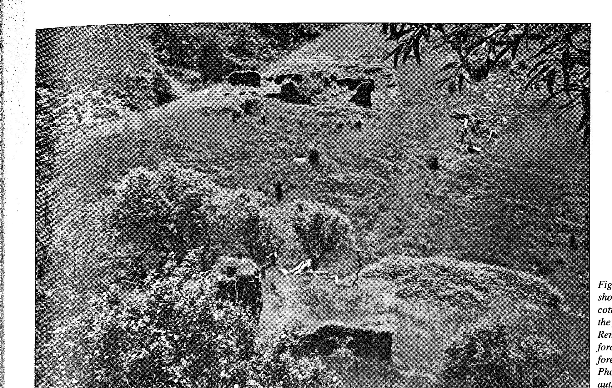 Are rapidly disappearing. this deterioration is most evident