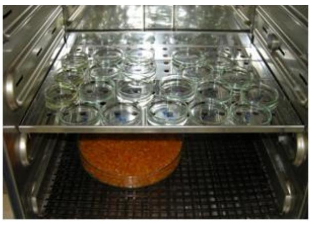 Aging experiment at 65°c measurements and analysis and also