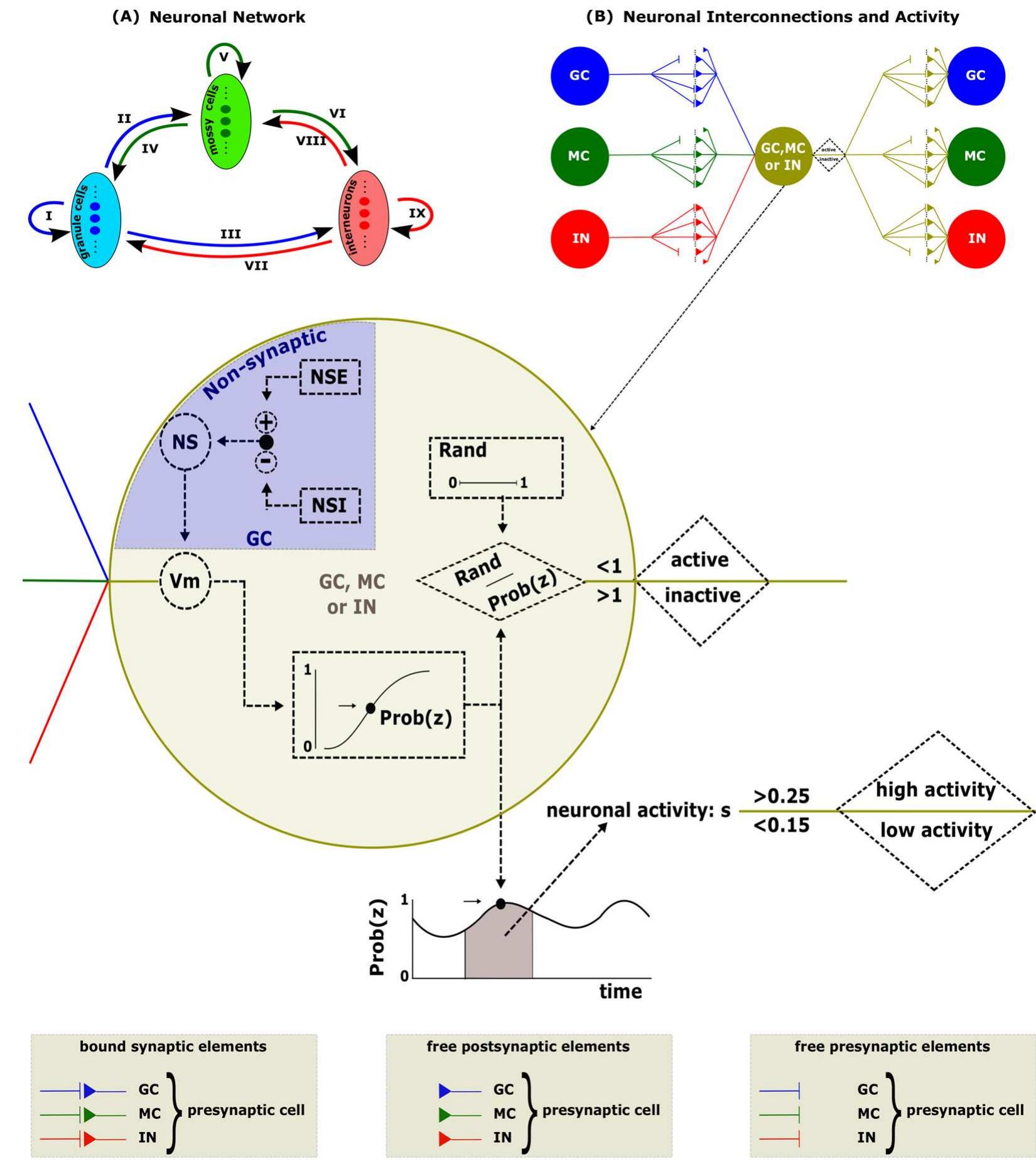 (a) schematic representation of the neural network model.