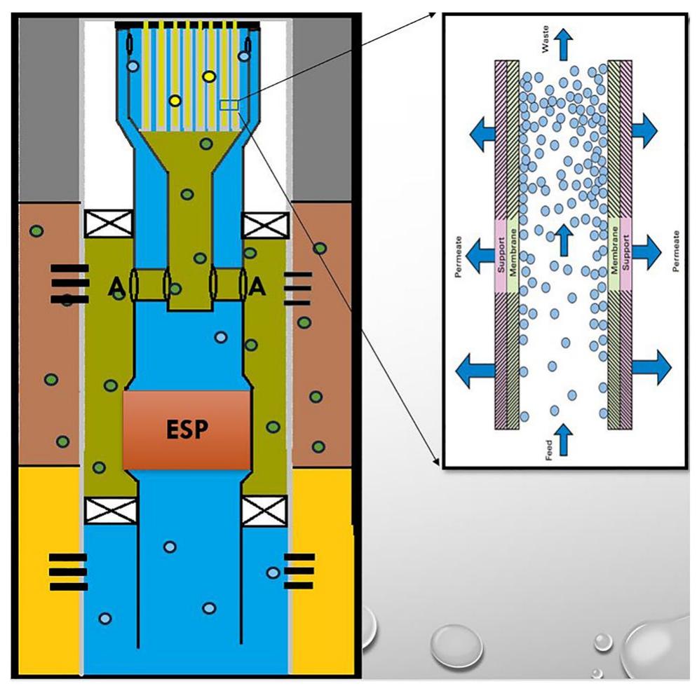 Schematic illustration of ptfe membrane-based dows the