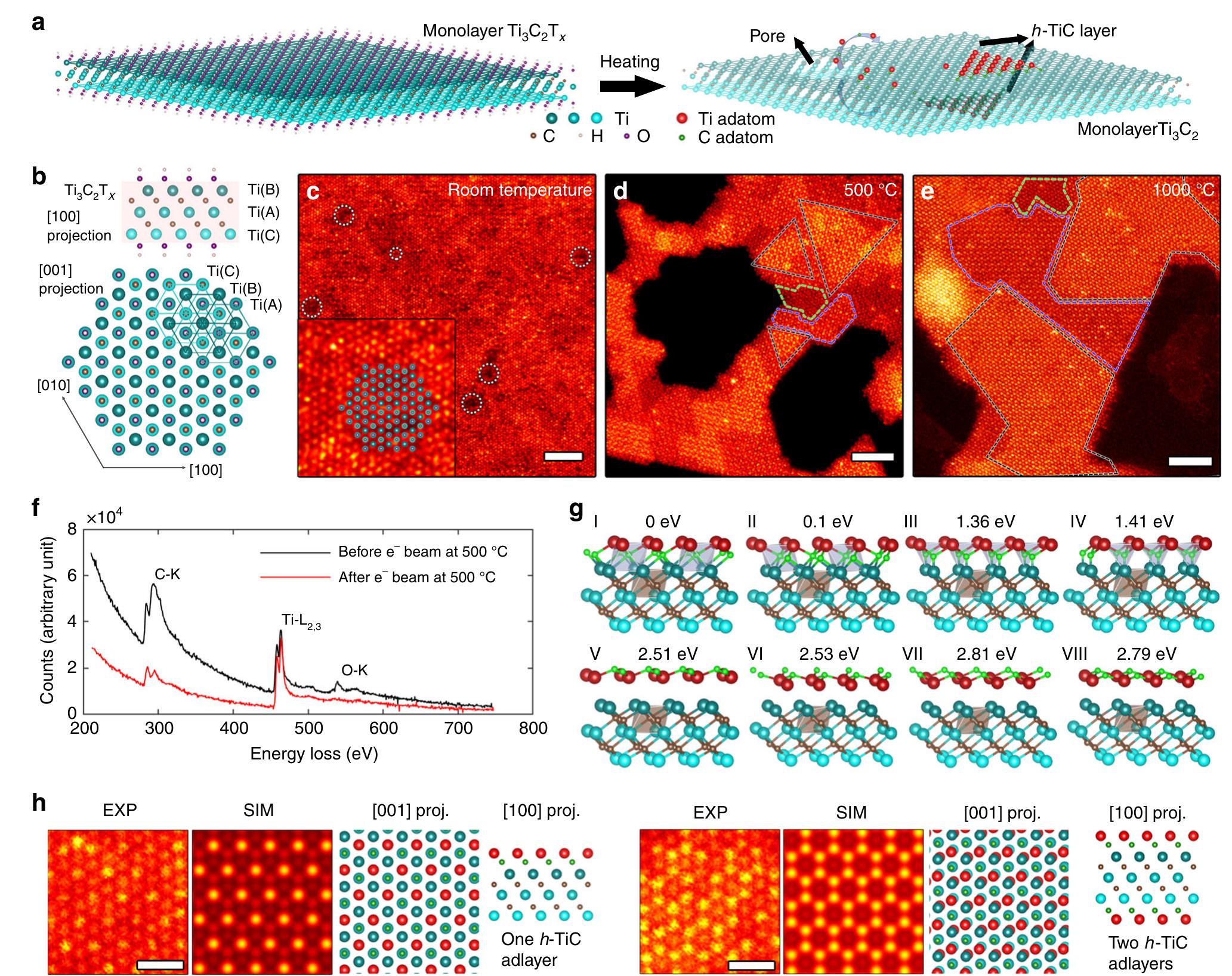 Homoepitaxial Growth Of Mxene A Schematic Of The