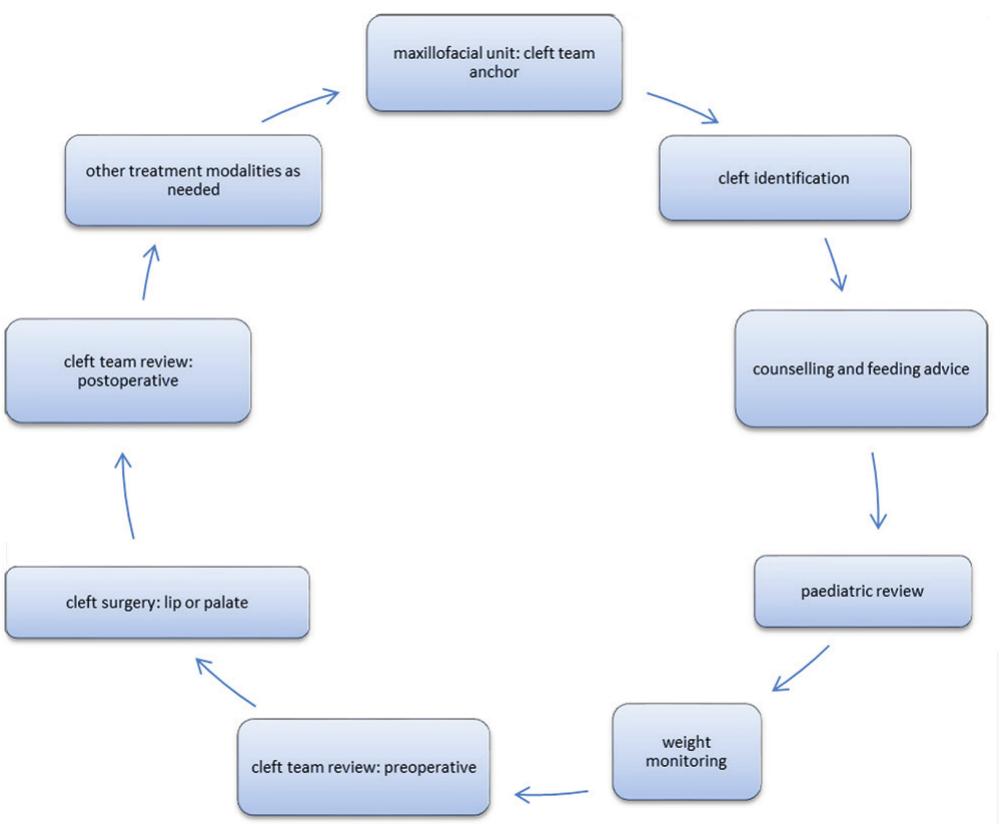 Flow chart of cleft lip and palate management parental