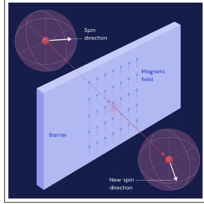 The illustration shows the principle of the larmor clock. as