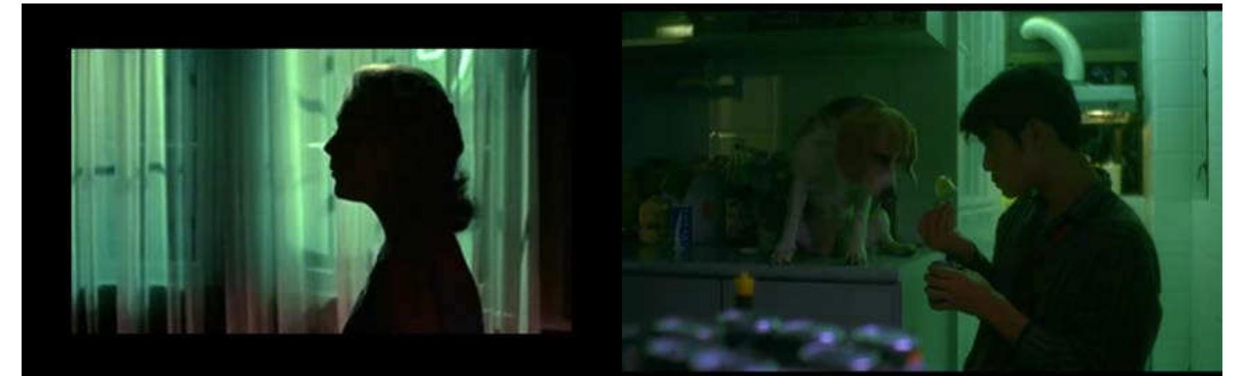 Comparison between vertigo (1958) & chungking express (1994)