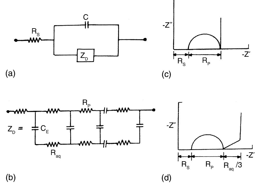 The nyquist impedance spectra of pani/ss electrodes prepared