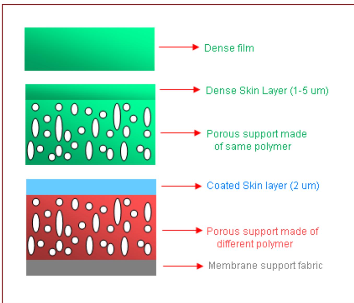 Schematic representation of three different types of