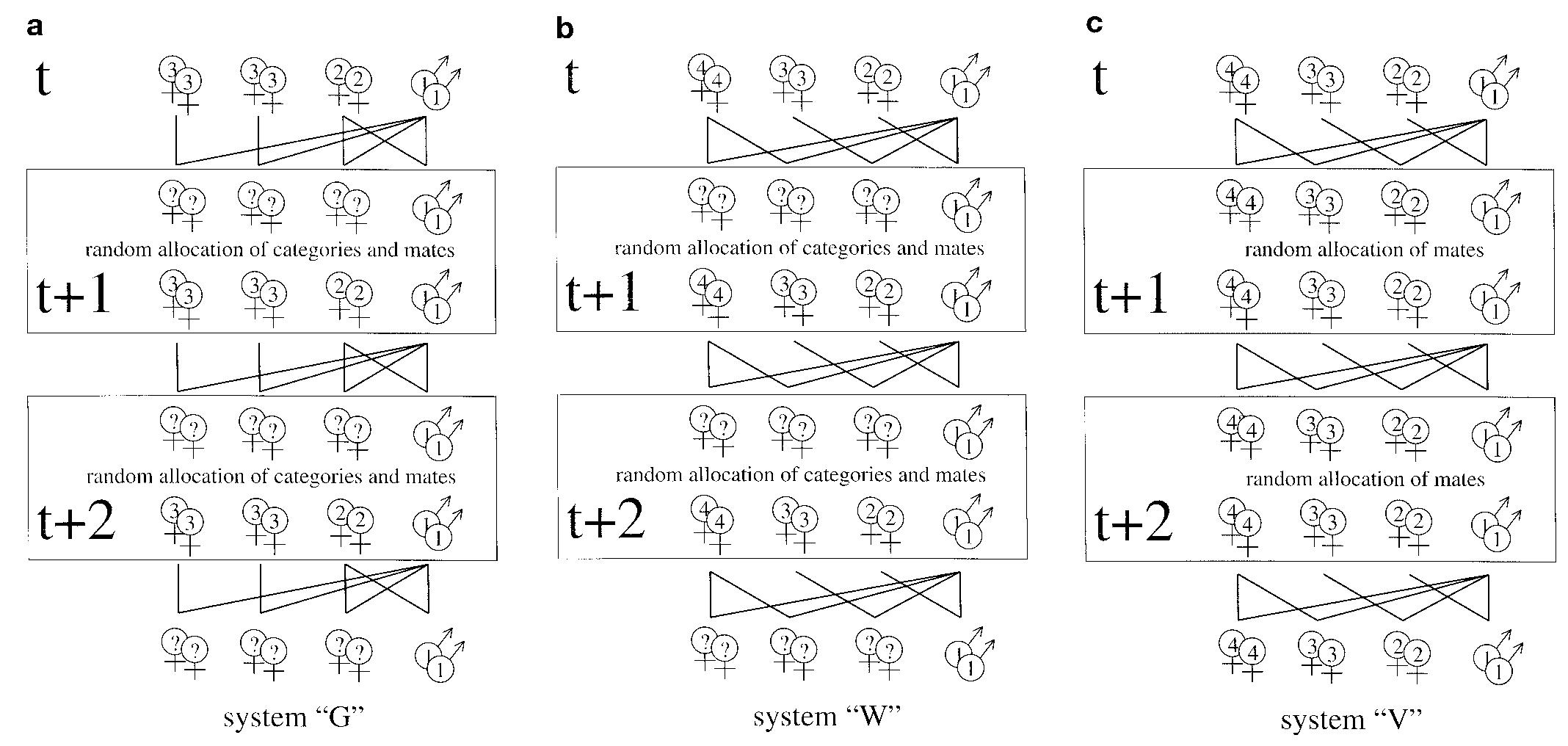 Ficure 1.—lineages according to different systems of