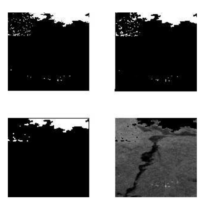 Figure 5 - Detection of Oil Spills in SAR Images using