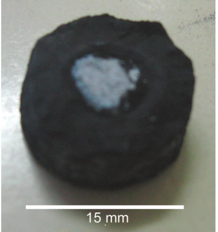 Ficure 3: lateral cross-section of the niobium pellet (15mm